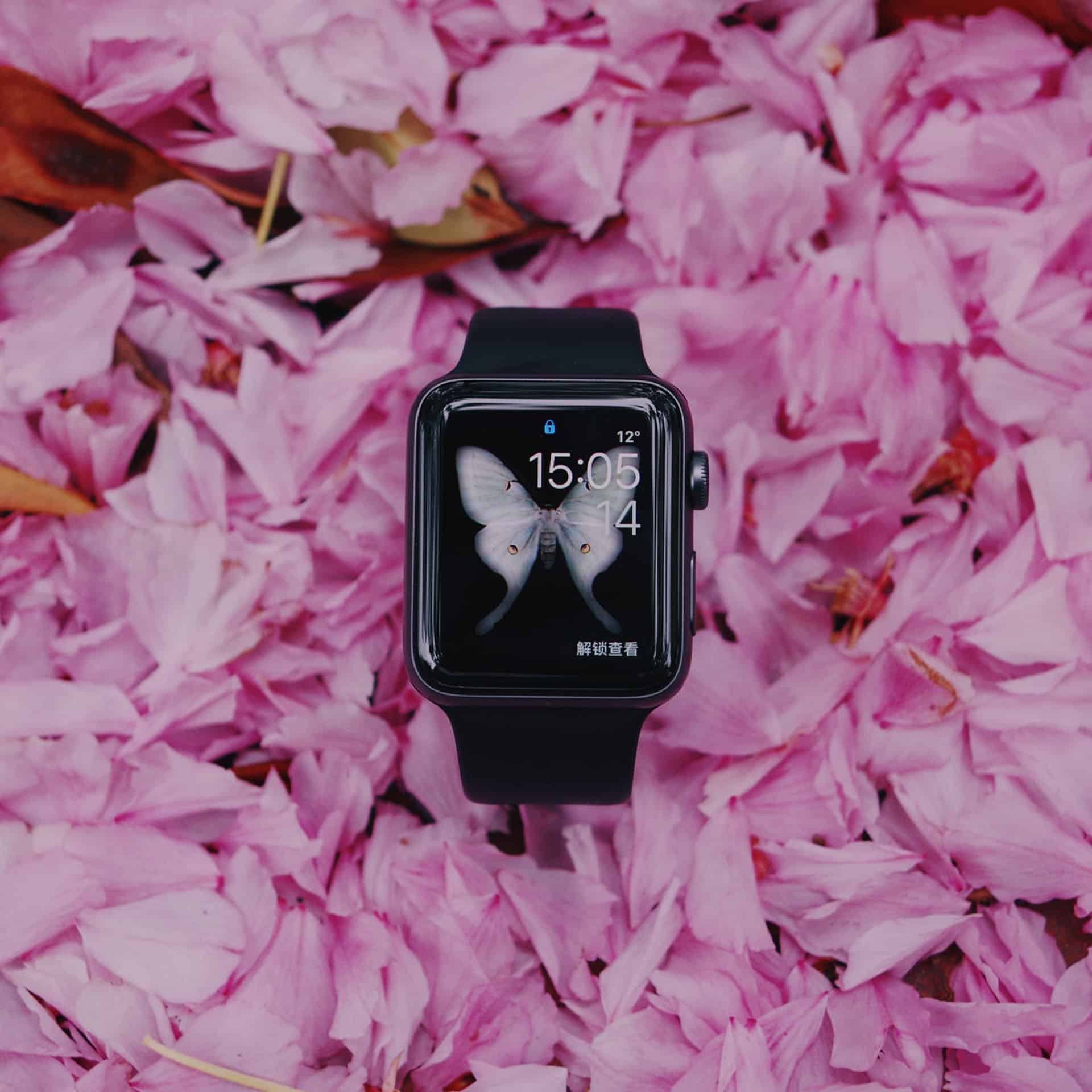 Promotional Video Services - Motionify